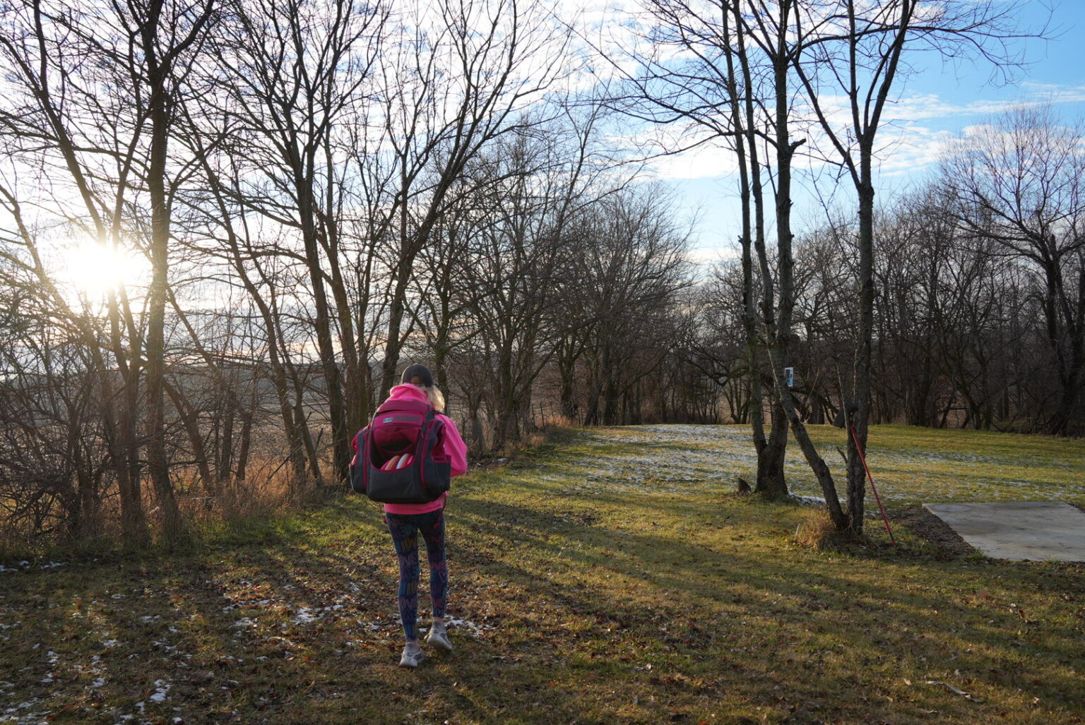 DIY Disc Golf: Building Your Own Backyard Course